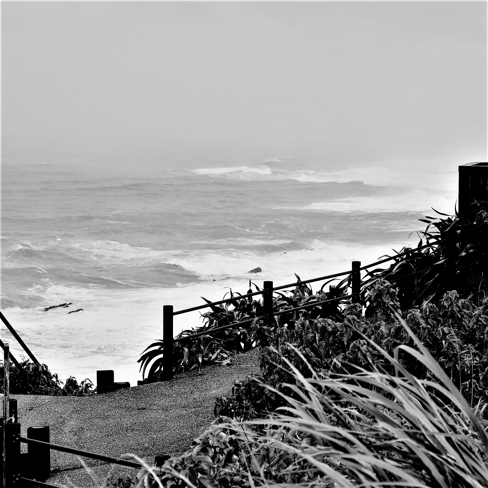 Surfing information in Japan to the world SUSHISURFJAPAN